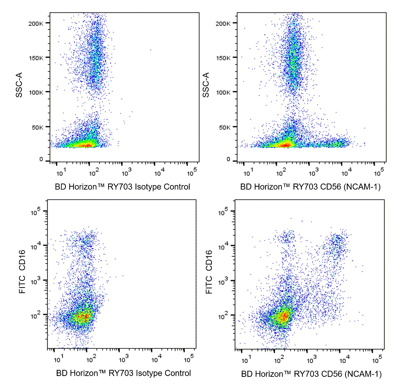 RY703 Mouse Anti-Human CD56 (NCAM-1)