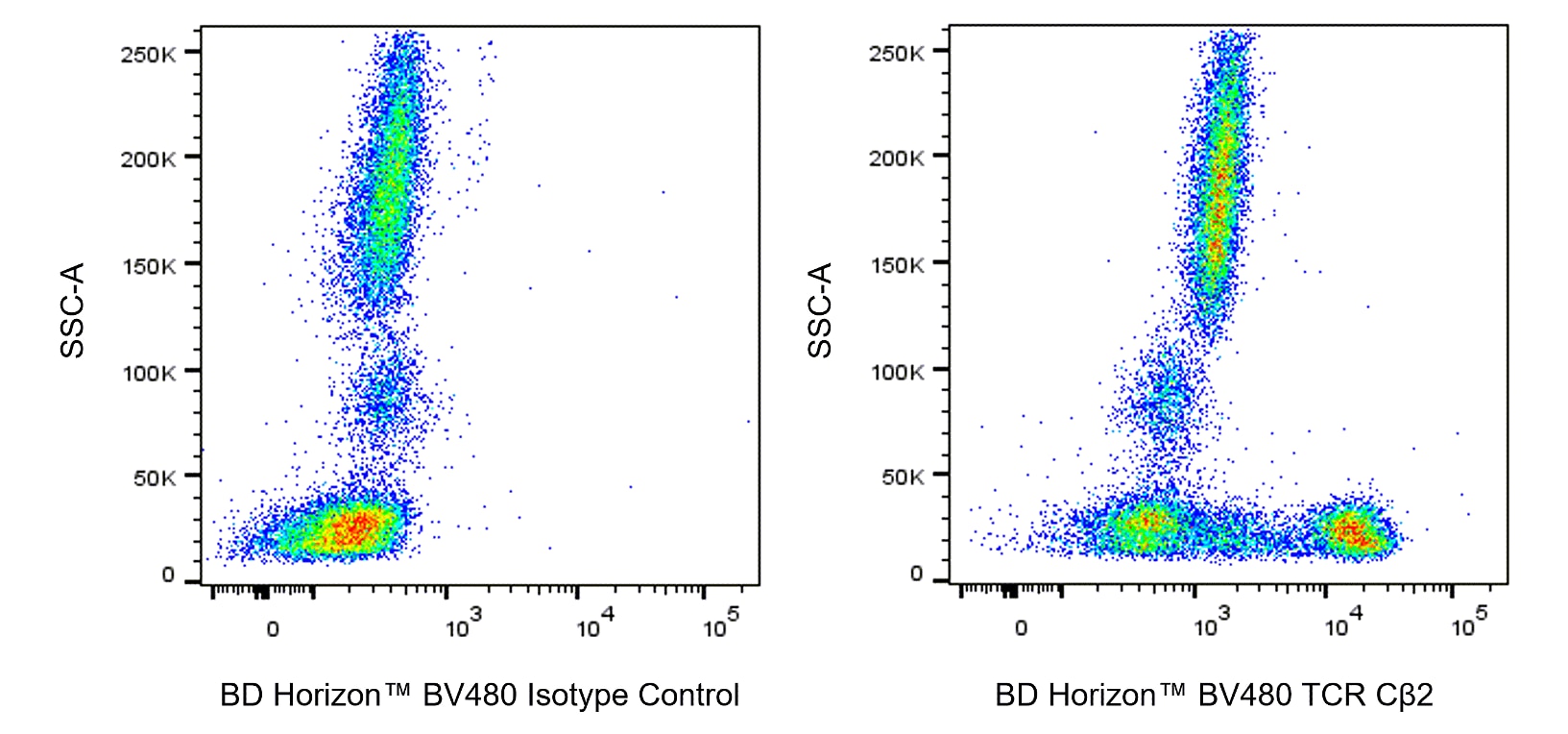 BV480 Mouse Anti-Human TCR Cβ2