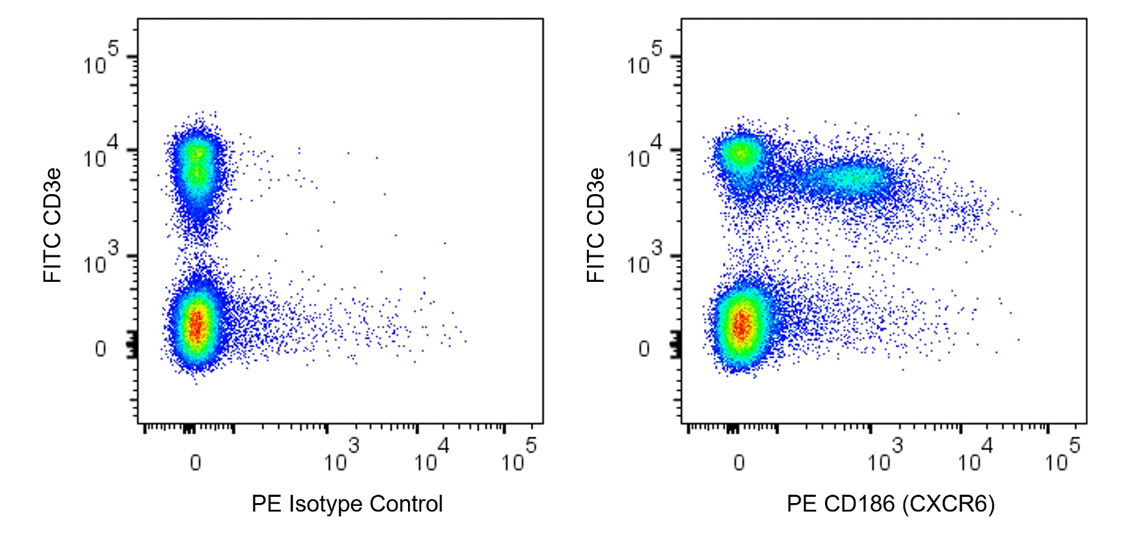 PE Rat Anti-Mouse CD186 (CXCR6)
