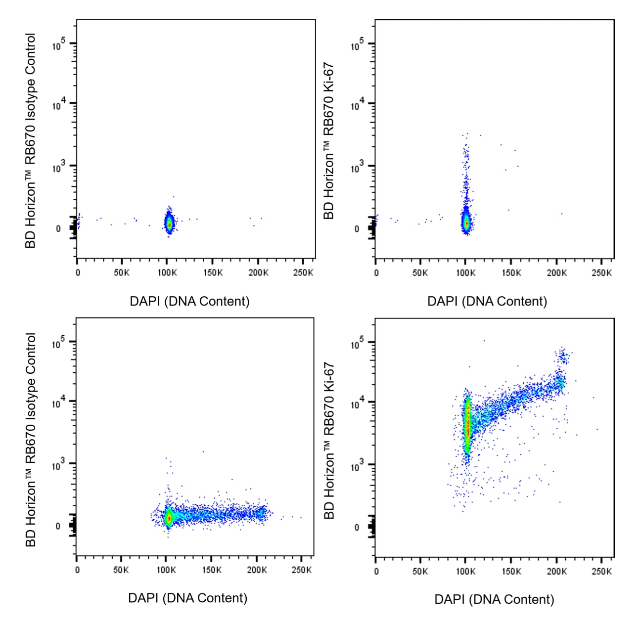 RB670 Mouse Anti-Ki-67
