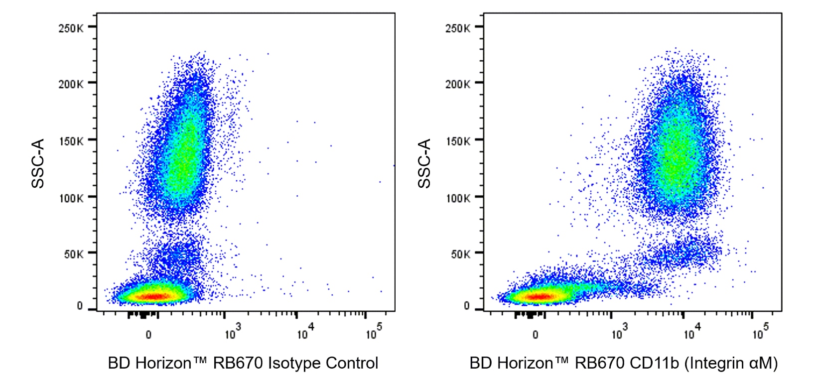 RB670 Rat Anti-CD11b (Integrin αM)