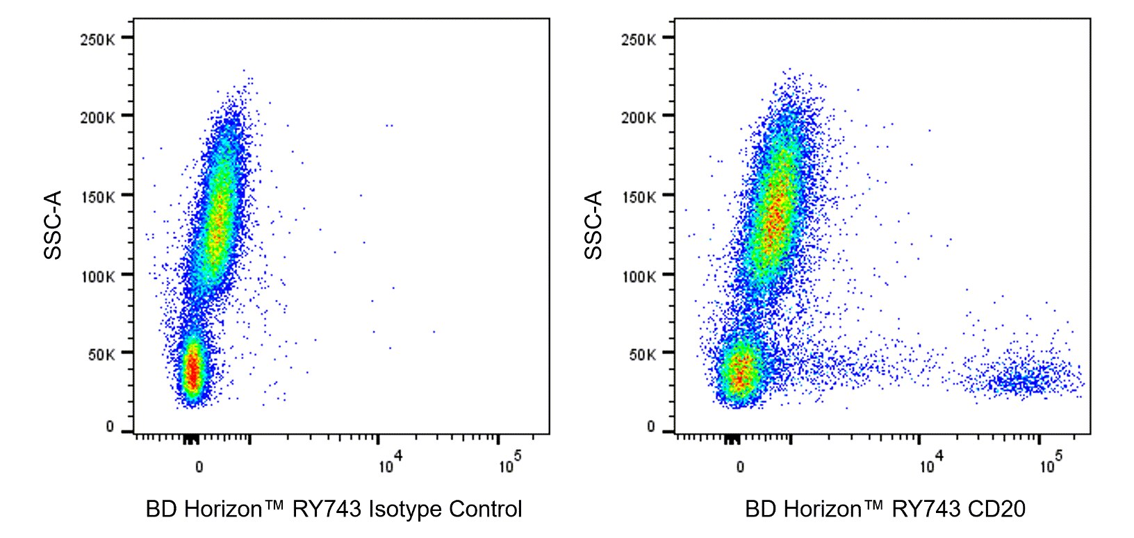 RY743 Mouse Anti-Human CD20
