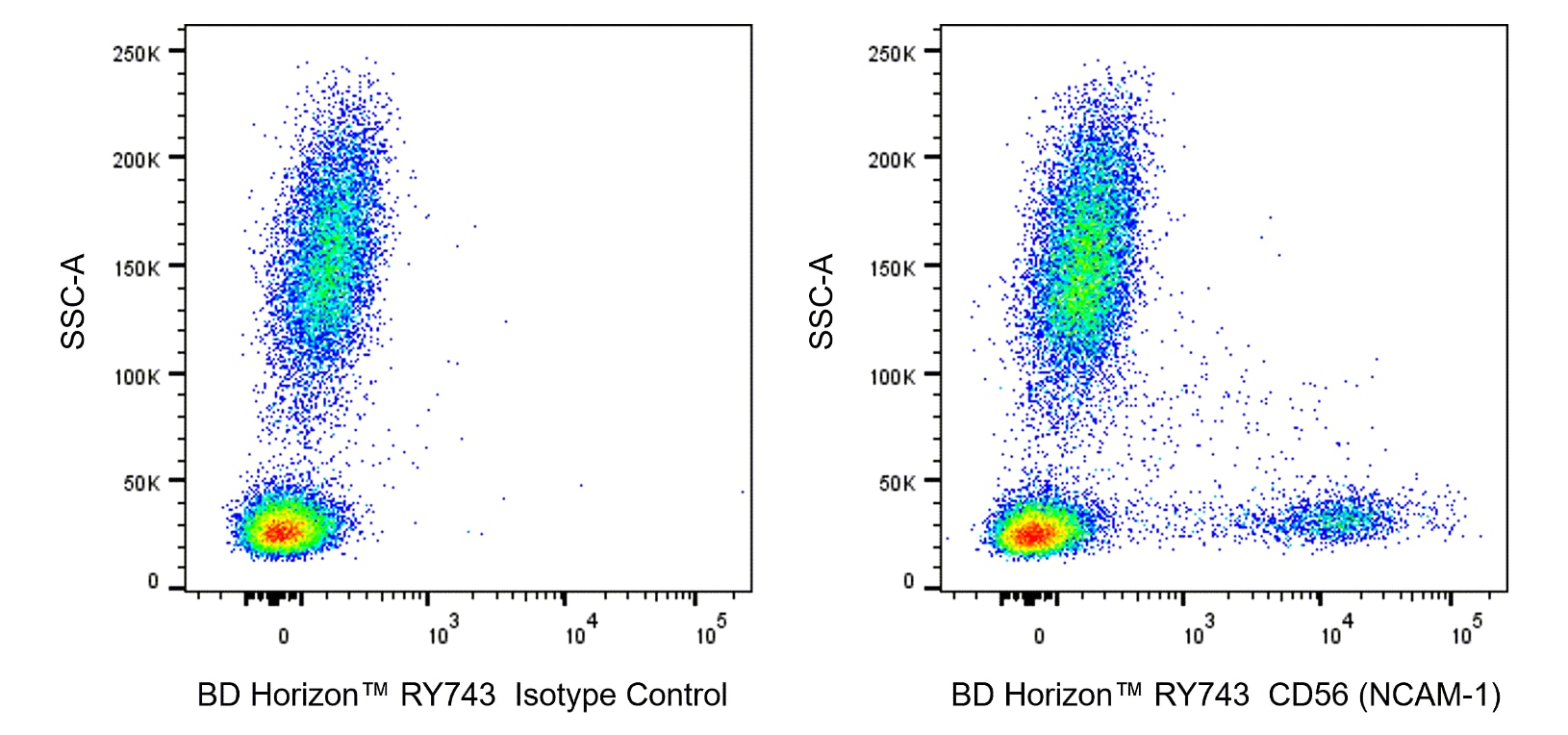 RY743 Mouse Anti-Human CD56 (NCAM-1)