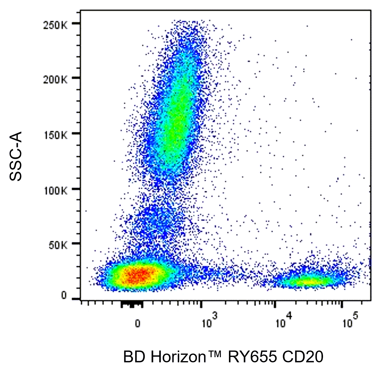 RY655 Mouse Anti-Human CD20