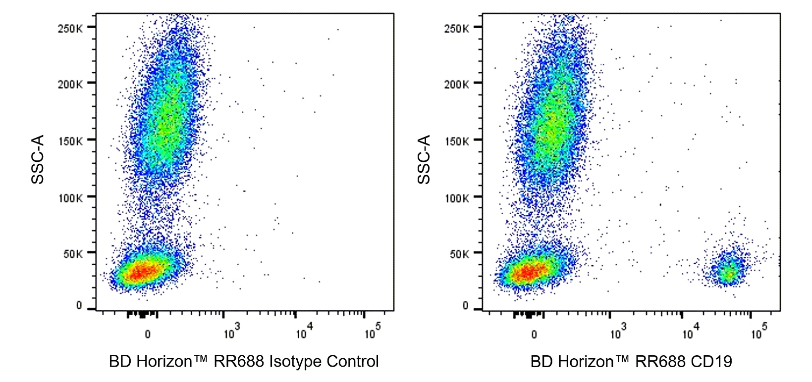 RR688 Mouse Anti-Human CD19
