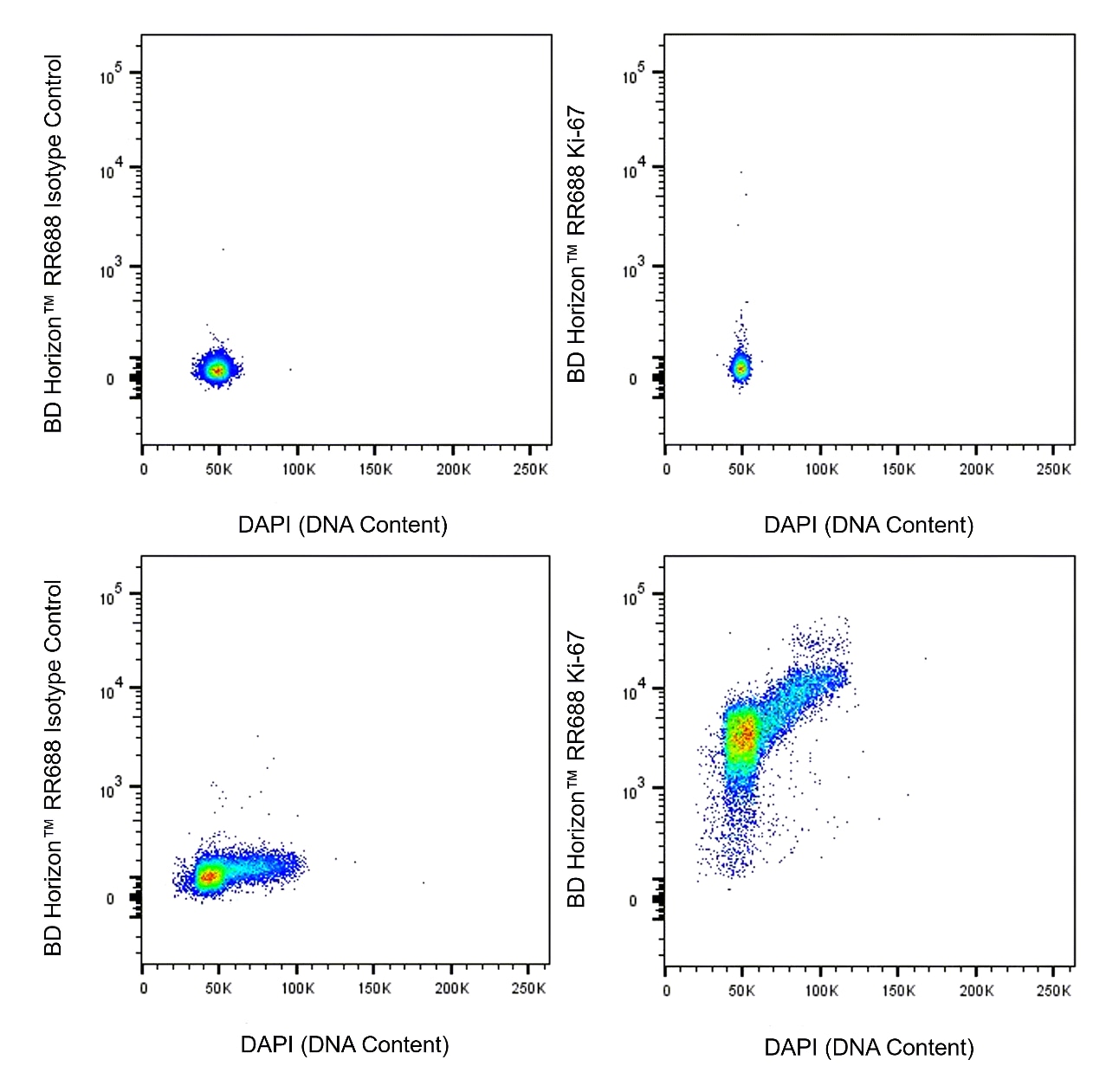 RR688 Mouse Anti-Ki-67