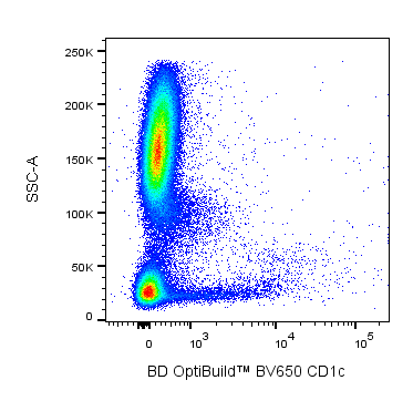 BV650 Mouse Anti-Human CD1c