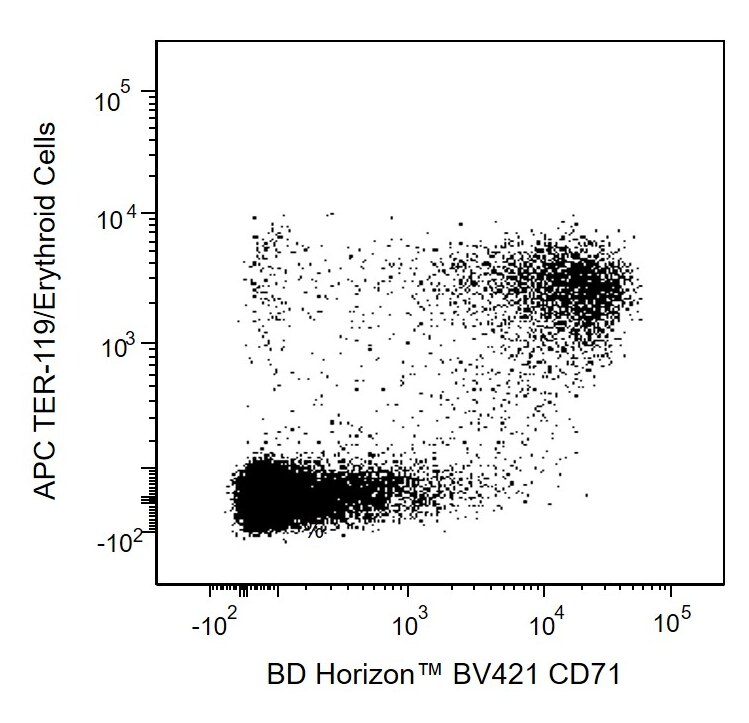 BV421 Rat Anti-Mouse CD71