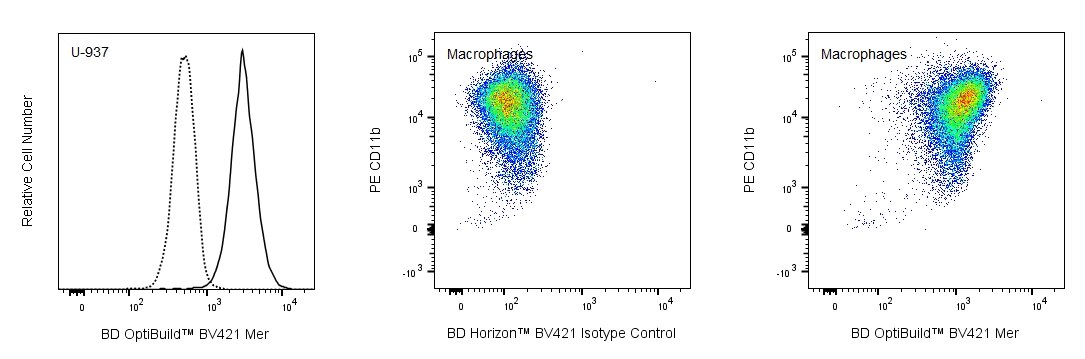 BV421 Mouse Anti-Human Mer