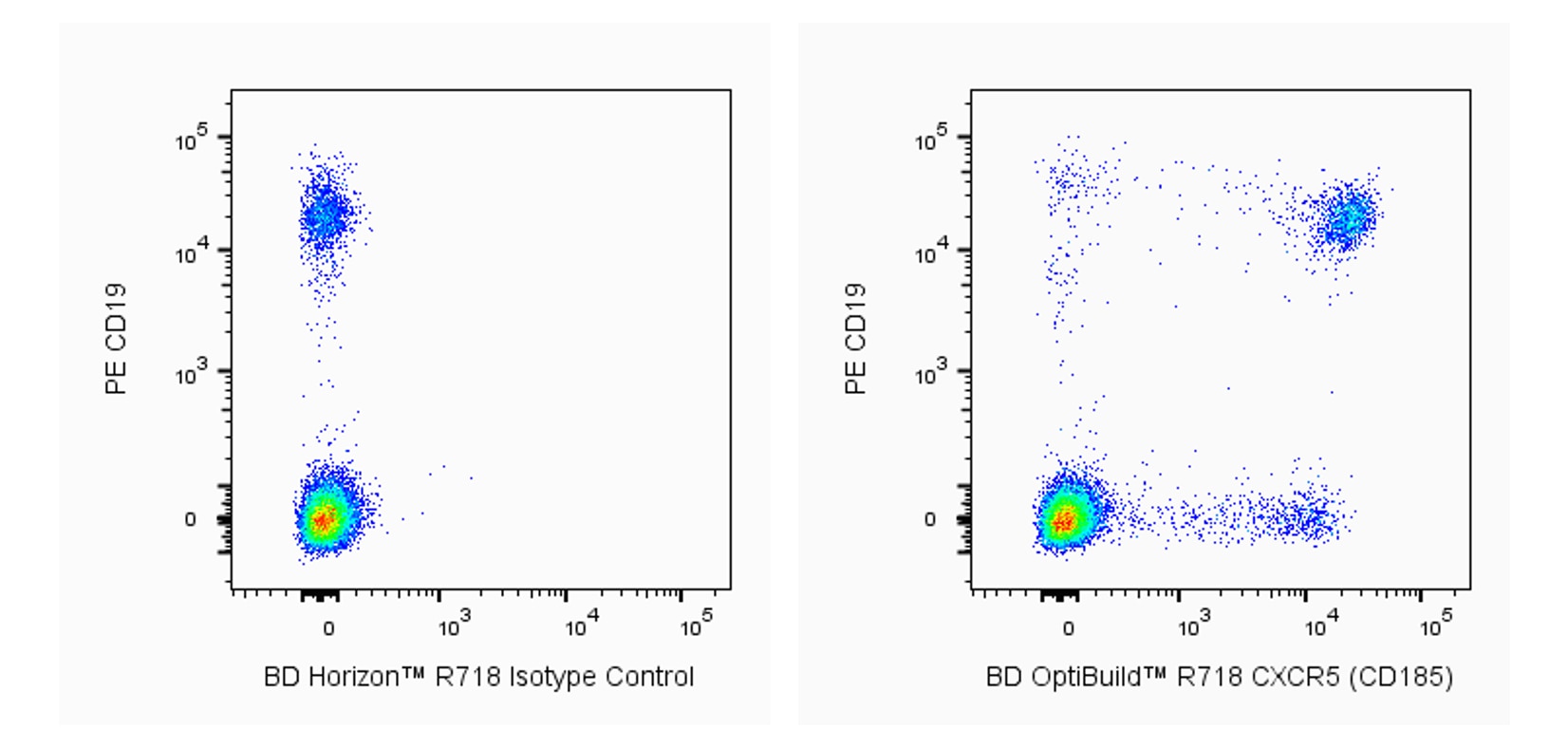 R718 Rat Anti-Human CXCR5 (CD185)