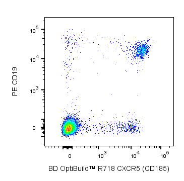 R718 Rat Anti-Human CXCR5 (CD185)