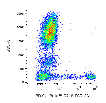R718 Mouse Anti-Human TCR Cβ1