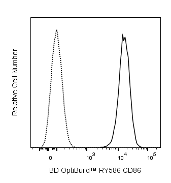 RY586 Mouse Anti-Human CD86