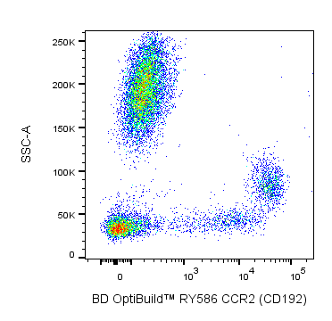 RY586 Mouse Anti-Human CCR2 (CD192)