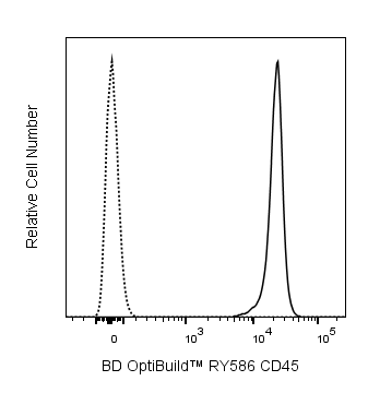 RY586 Mouse Anti-Rat CD45