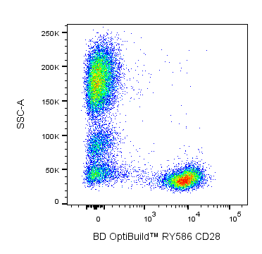 RY586 Mouse Anti-Human CD28