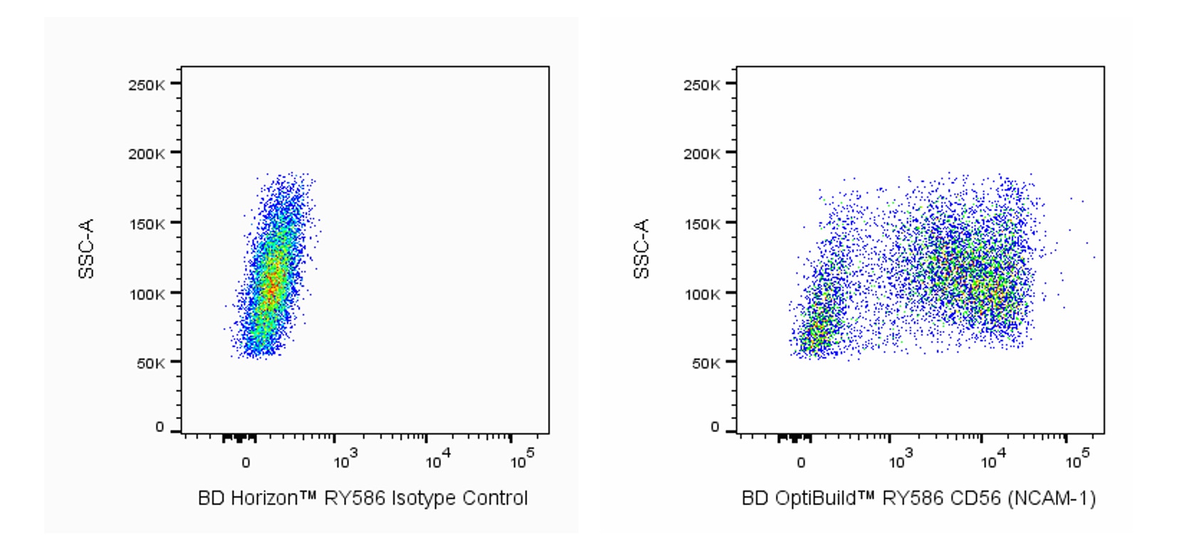 RY586 Rat Anti-Mouse CD56 (NCAM-1)