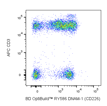 RY586 Mouse Anti-Human DNAM-1 (CD226)
