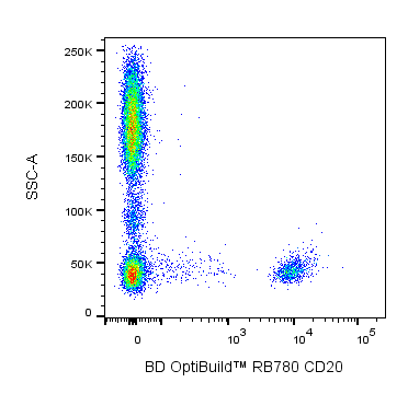 RB780 Mouse Anti-Human CD20