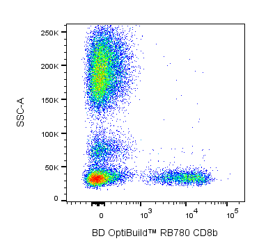 RB780 Mouse Anti-Human CD8b