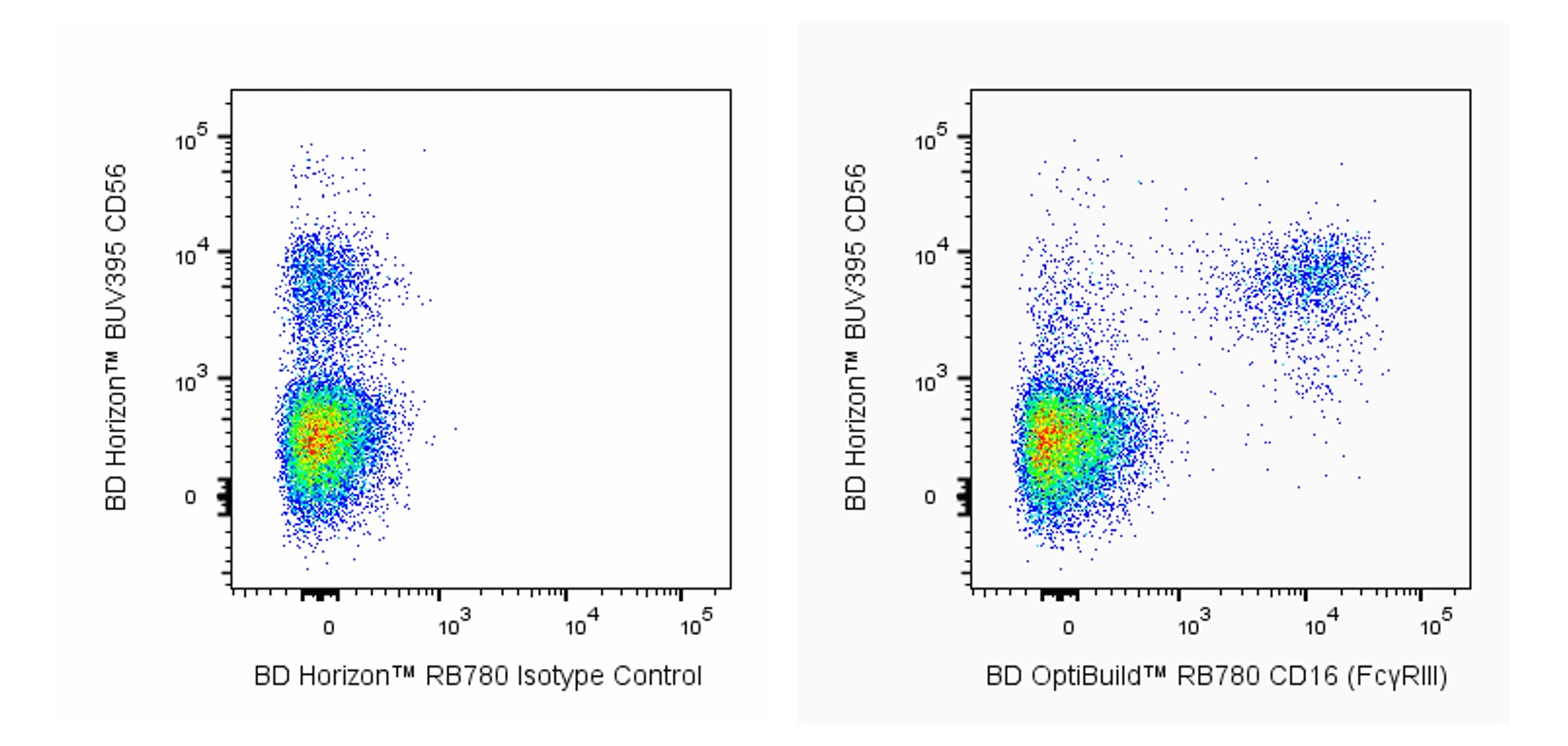 RB780 Mouse Anti-Human CD16 (FcγRIII)