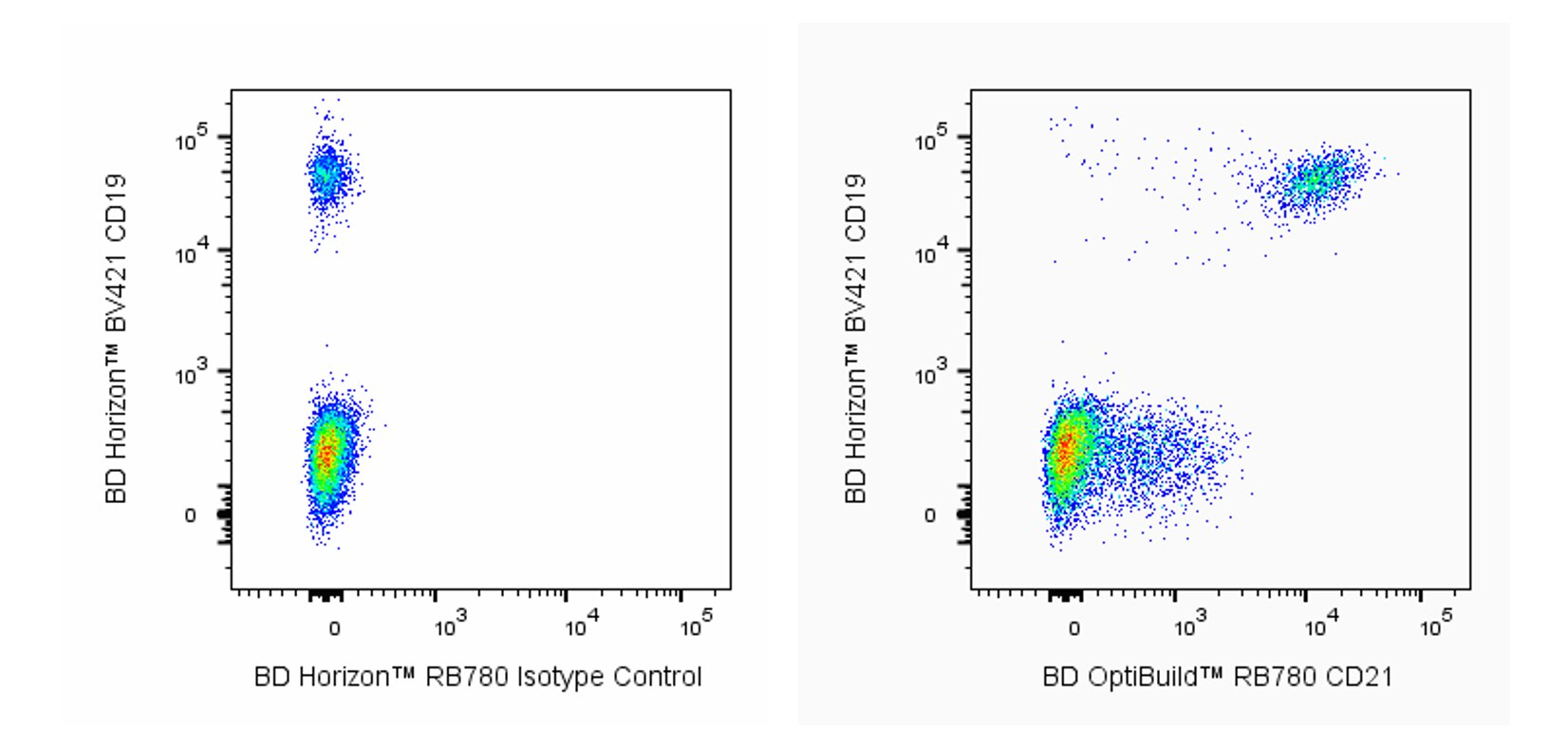 RB780 Mouse Anti-Human CD21
