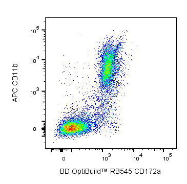 RB545 Rat Anti-Mouse CD172a