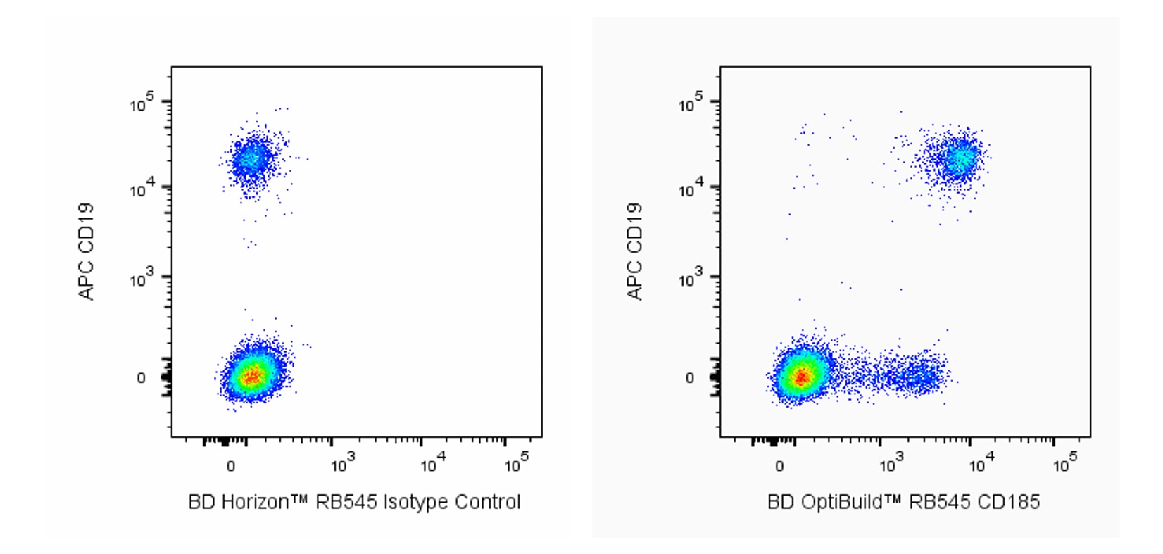 RB545 Rat Anti-Human CXCR5 (CD185)
