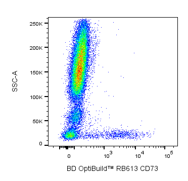 RB613 Mouse Anti-Human CD73