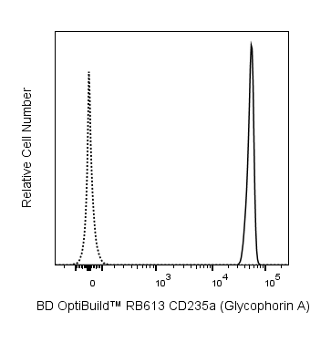 RB613 Mouse Anti-Human CD235a/b (Glycophorin A/B)