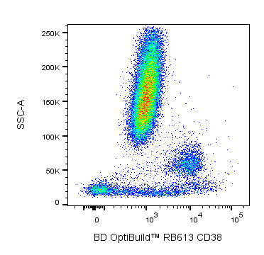 RB613 Mouse Anti-Human CD38