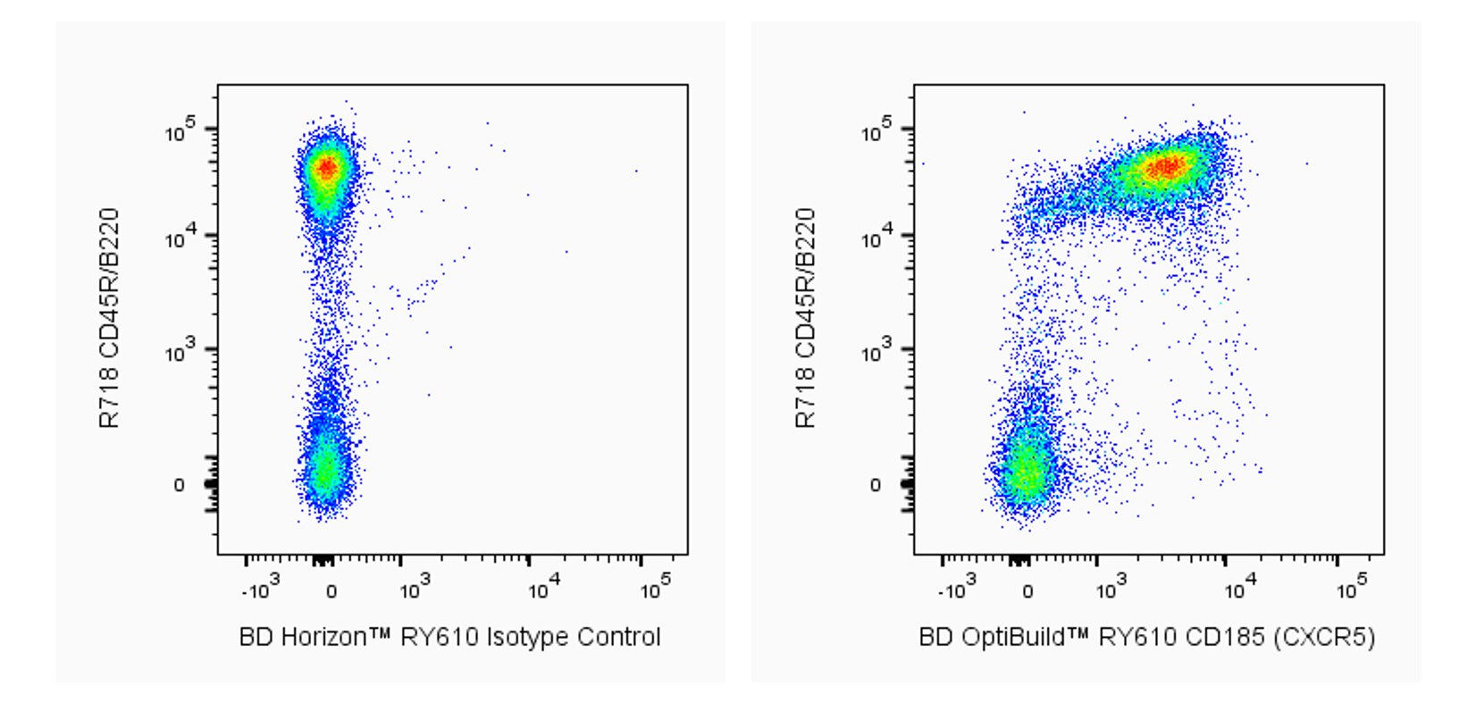 RY610 Rat Anti-Mouse CD185 (CXCR5)