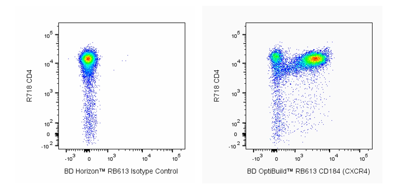 RB613 Rat Anti-Mouse CD184 (CXCR4)