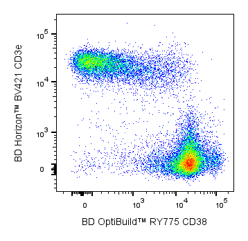RY775 Rat Anti-Mouse CD38