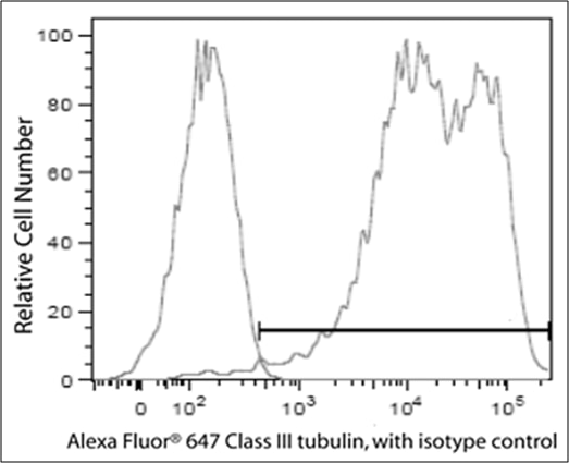 Alexa Fluor® 647 Mouse anti-β-Tubulin, Class III