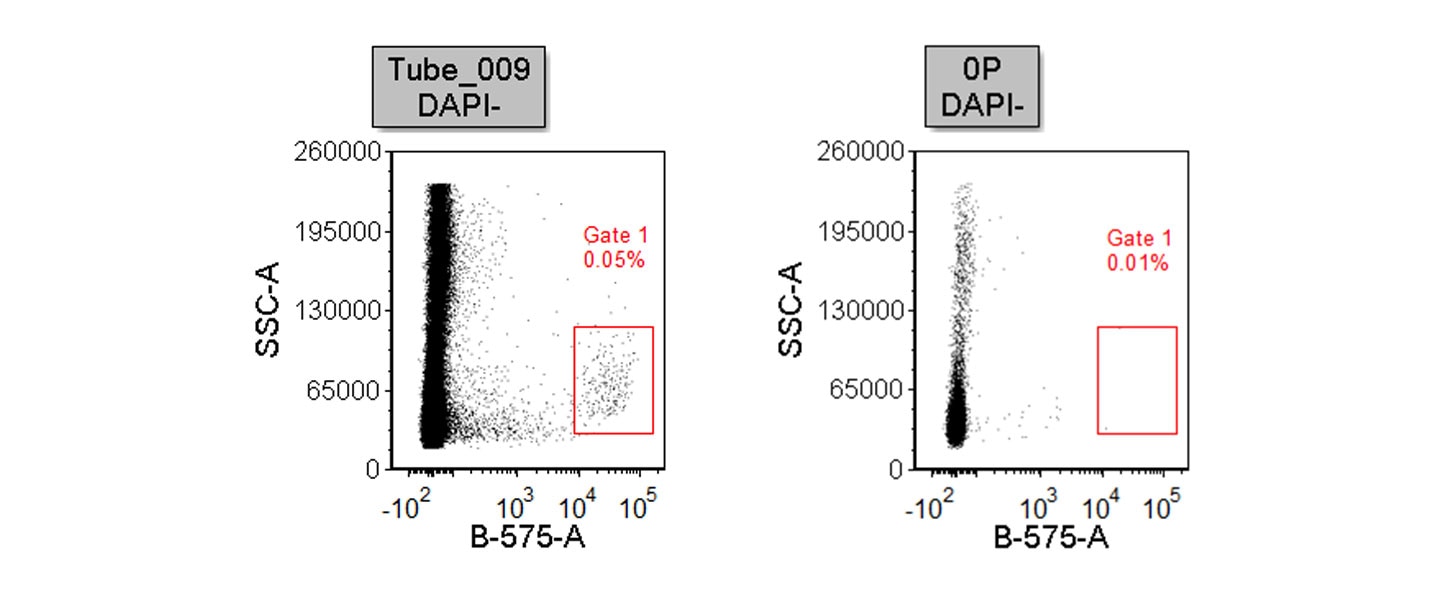 BD® CAR Detection Reagents
