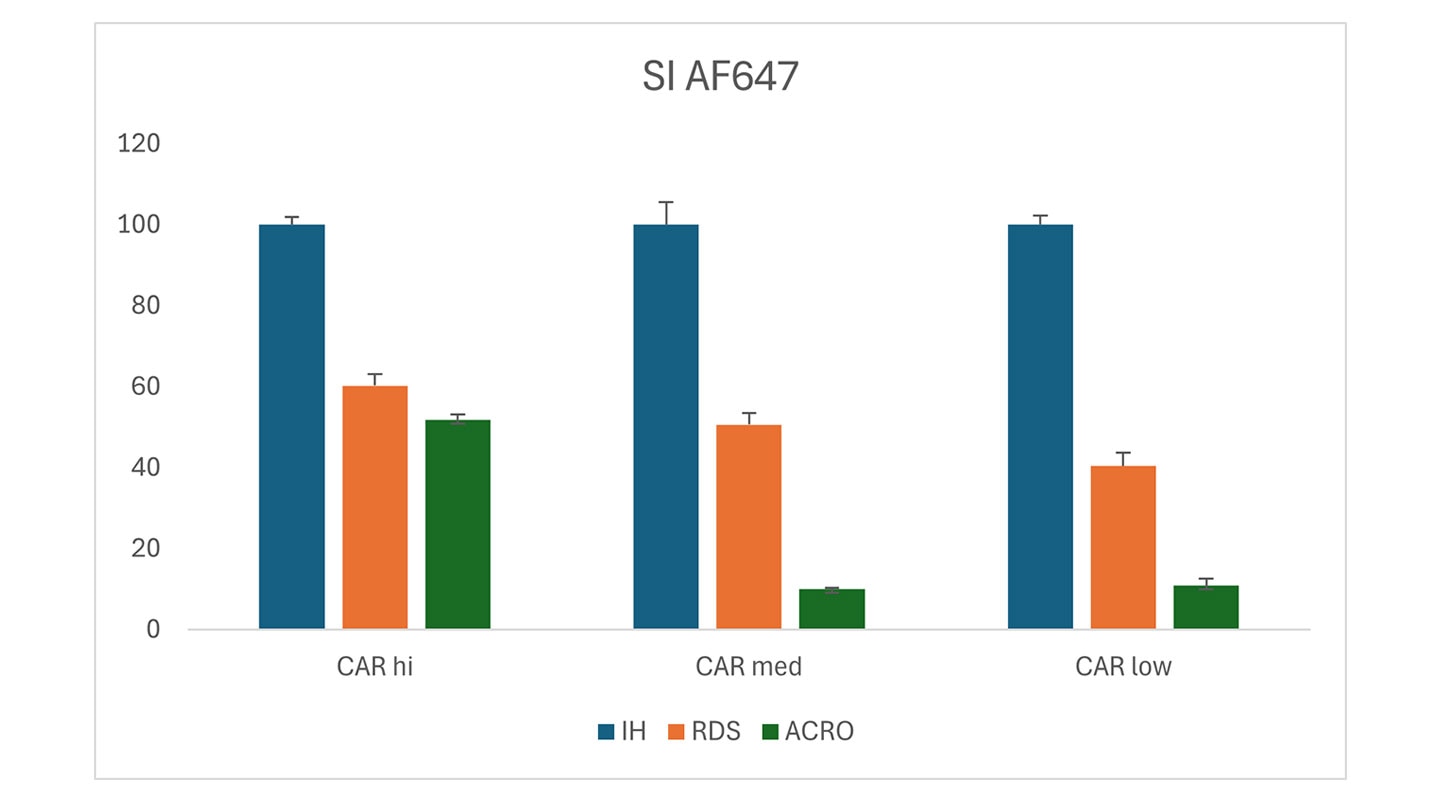 BD® CAR Detection Reagents